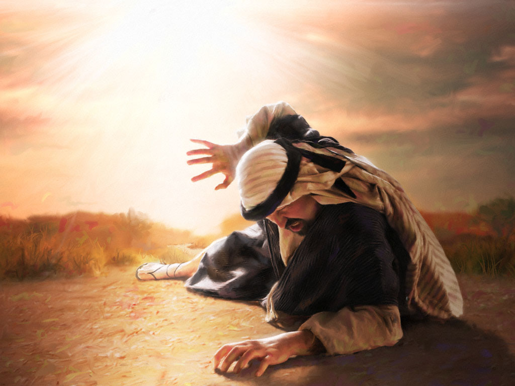 Evangelio del día – Lectio Divina Marcos 16, 15-18 | Cristonautas.com