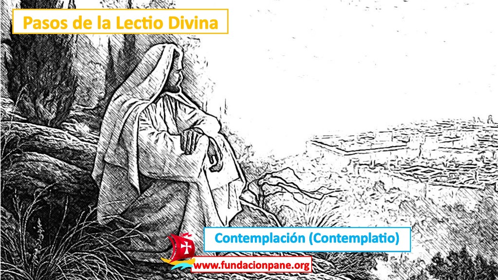 Lectio Divina: Contemplación | Cristonautas.com